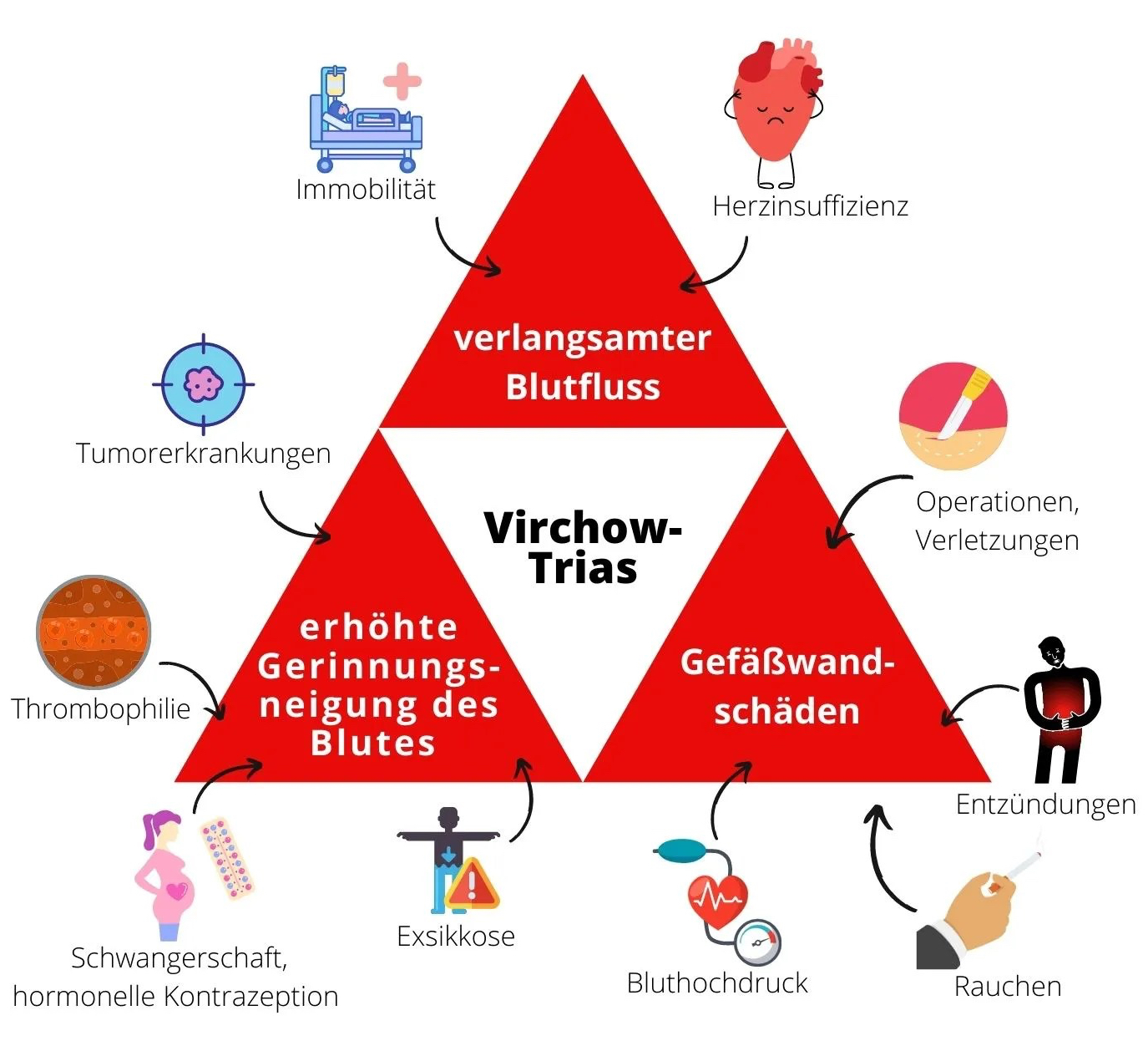 Factsheed – Virchow Trias – Die Zwei in Reflexstreifen